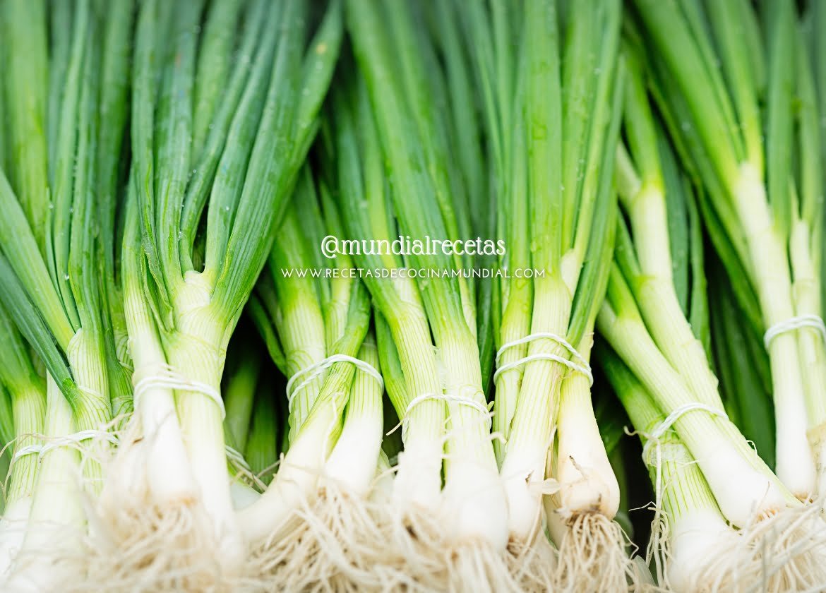 Tipos de Cebollas y sus usos en cocina - 🧅 Variedades de cebollas